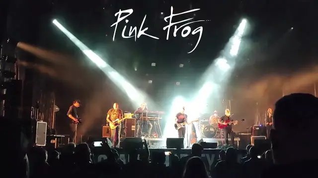 Pink Floyd | Pink Frog - Tribute Avenue